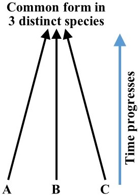 Biodiversity, Evolution, and Extinction – Environmental Science: an ...
